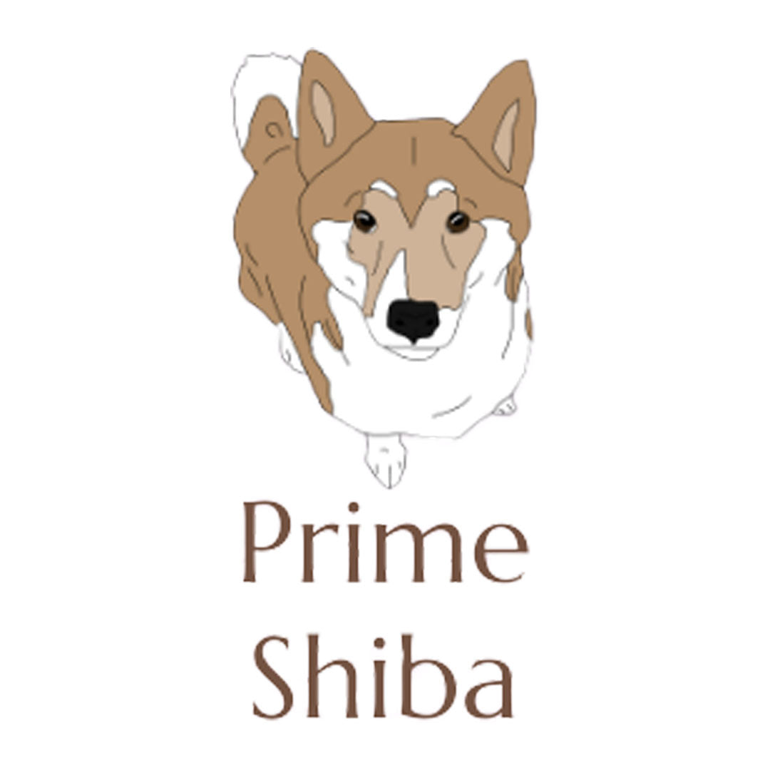 Prime Shiba – Little Husky Toys