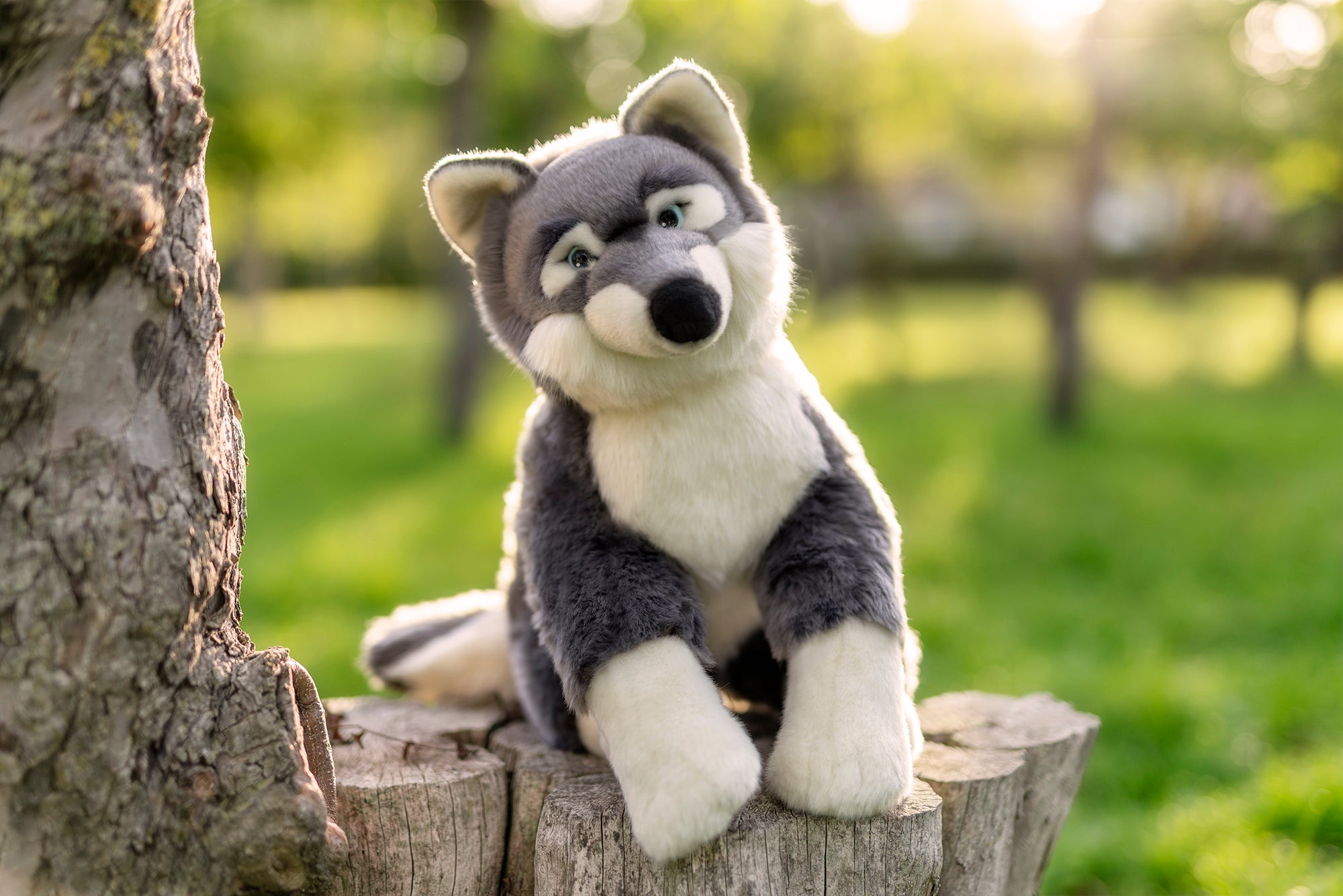 Prime Shiba – Little Husky Toys