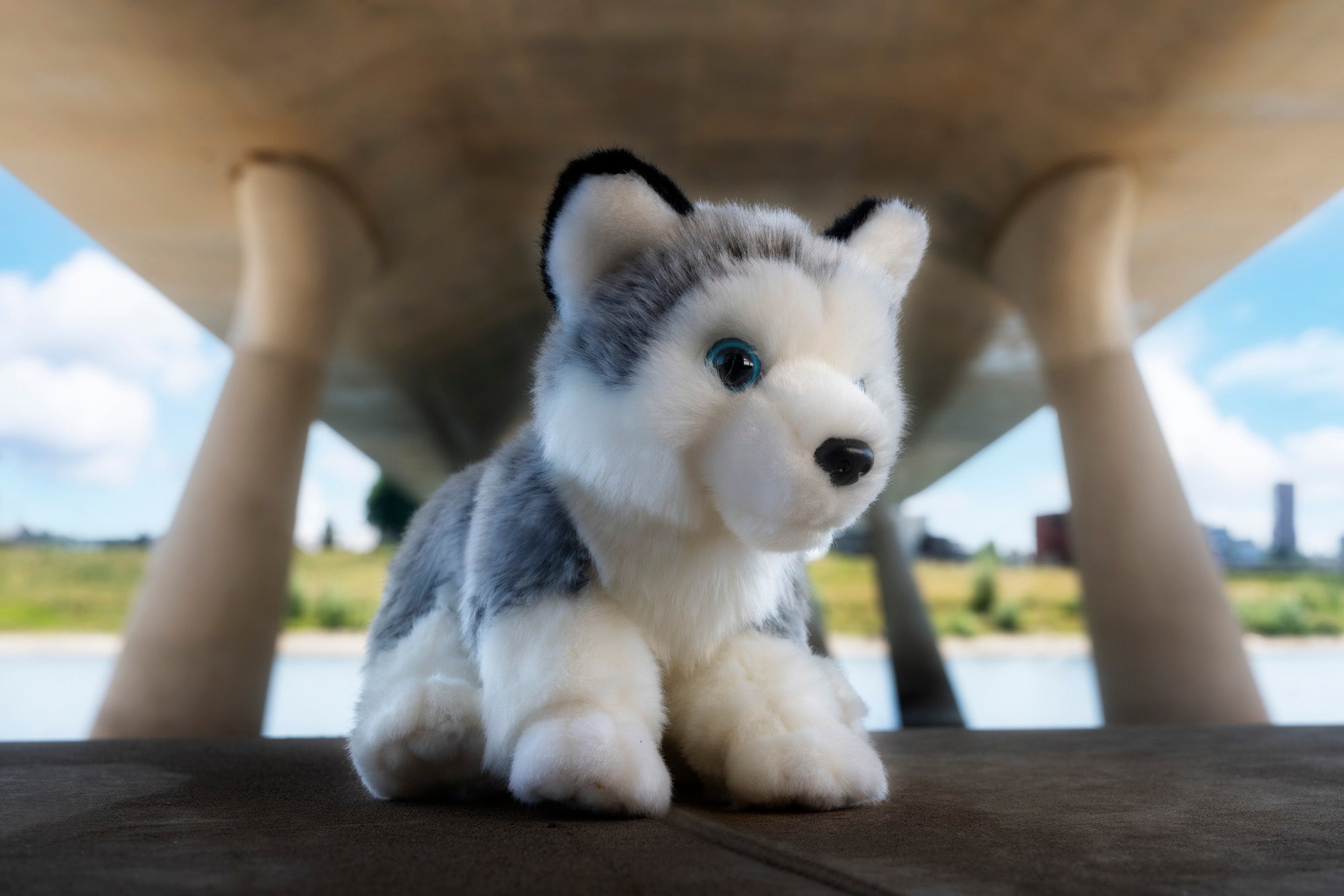 Domestic Animals – Little Husky Toys
